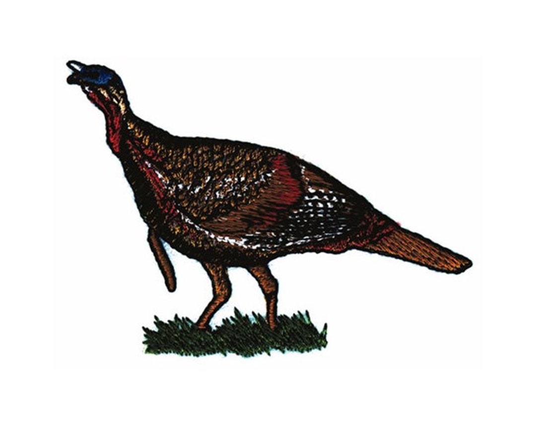 Wild Turkey - Machine Embroidery Design - Etsy