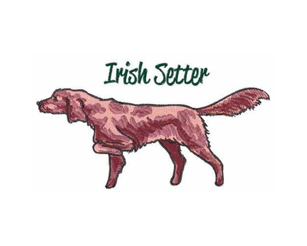 Irish Setter - Machine Embroidery Design - Etsy