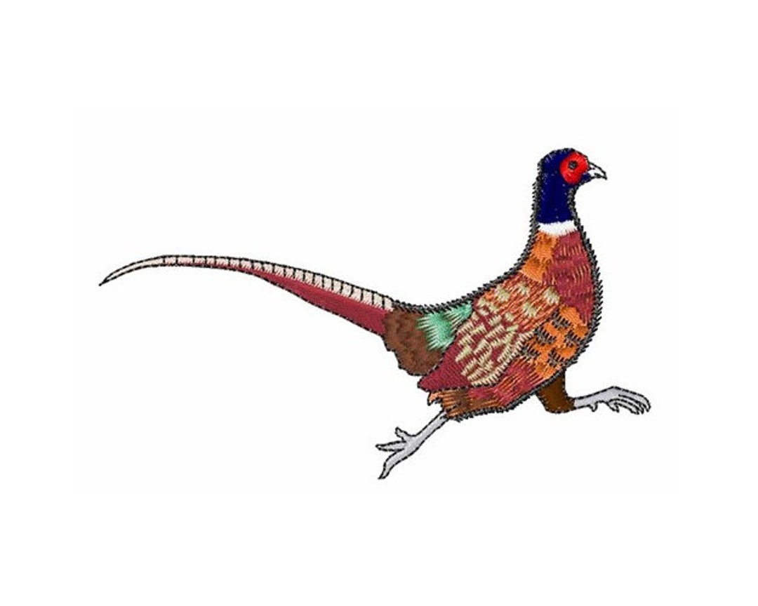 Pheasant - Machine Embroidery Design - Etsy
