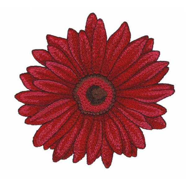 Gerber Daisy - Etsy