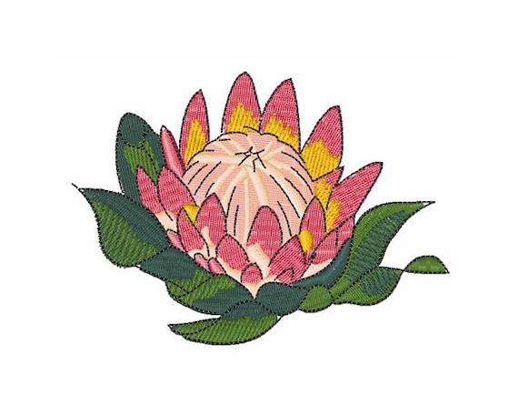 King Protea Flower Machine Embroidery Design - Etsy Australia