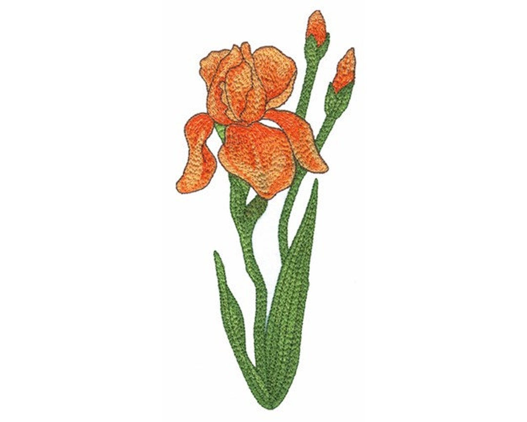 Flower - Machine Embroidery Design - Etsy