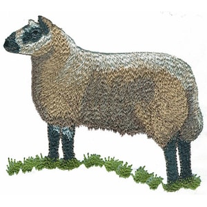 Kerry Hill - Machine Embroidery Design - Etsy