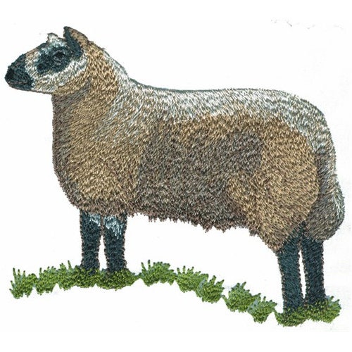 Lamb sheep Machine Embroidery Design - Etsy