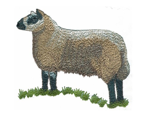 Kerry Hill Machine Embroidery Design - Etsy