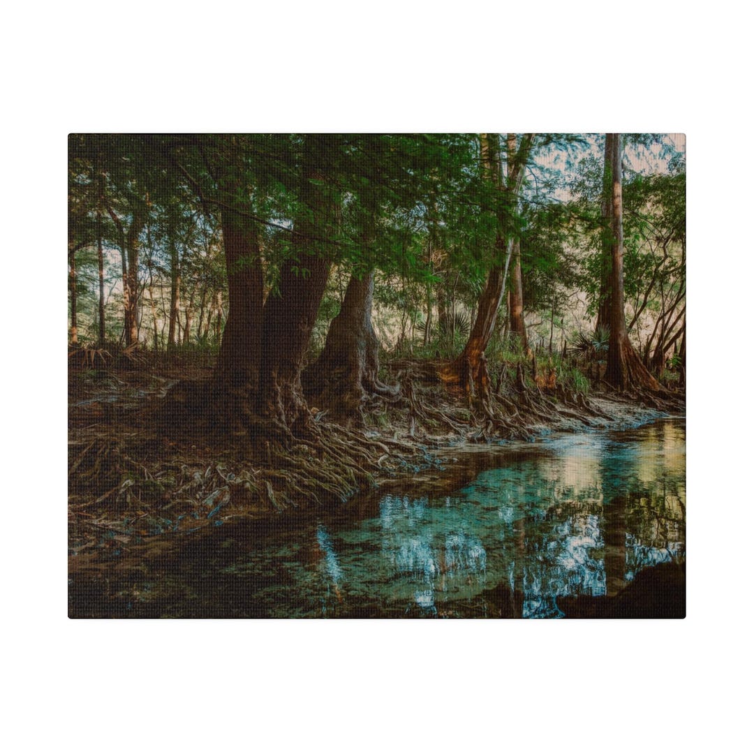 Blue Spring River Cypress Trees, Rustic River Wall Decor, Nature ...