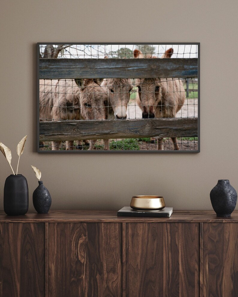 Donkeys Printable, Farmhouse Photo, Modern Farm Decor, Donkeys ...