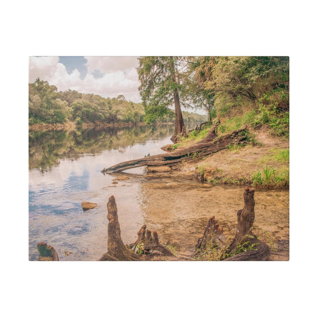 Fine Art, Suwannee River, River Landscape Photography, Cypress Trees ...