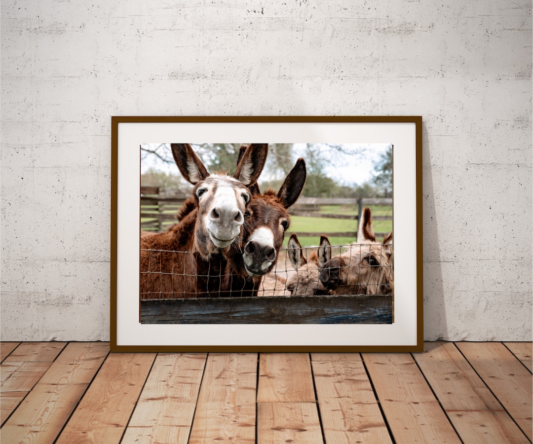 Donkeys Printable, Farmhouse Photo, Modern Farm Decor, Donkeys Photography, Rustic Country Print ...