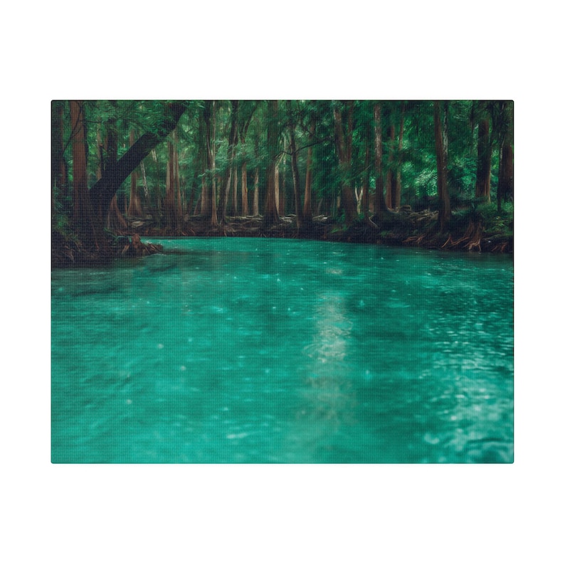 Dogwood Springs, Ginnie Springs, Florida Photography, Water Scene ...