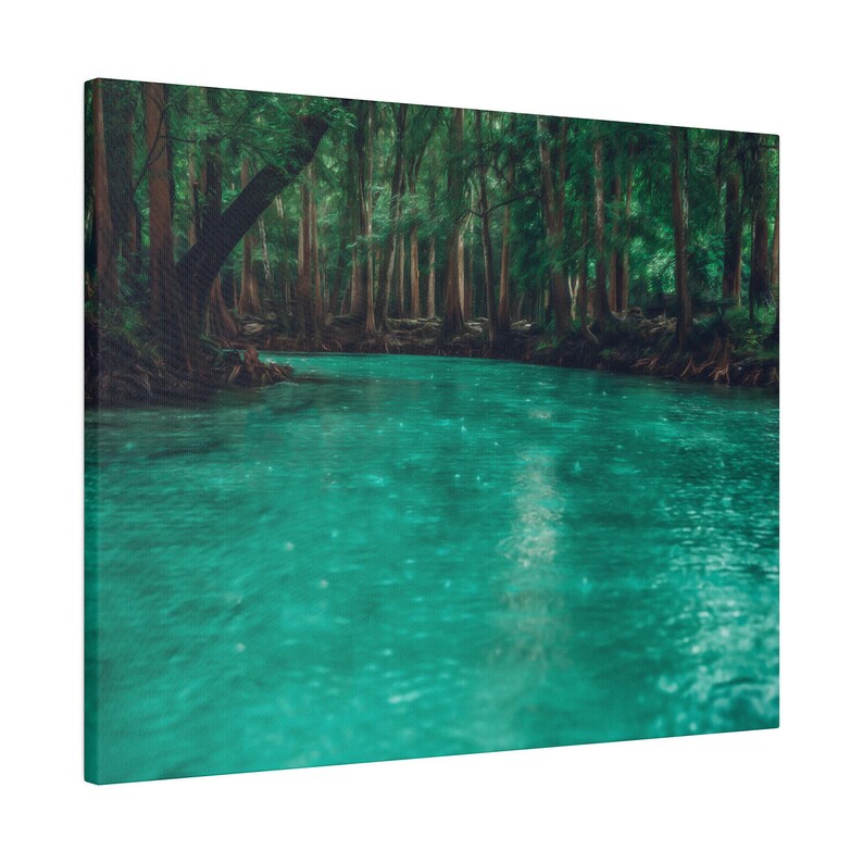 Dogwood Springs, Ginnie Springs, Florida Photography, Water Scene ...