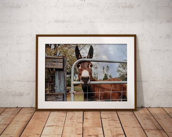 Donkey Printable, Farmhouse Photo, Modern Farm Decor, Donkey Photography, Rustic Country Print ...