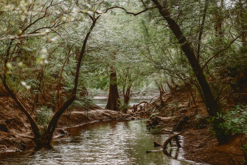 Rustic River Print , Instant Art, Home Decor Print, Living Room Decor ...