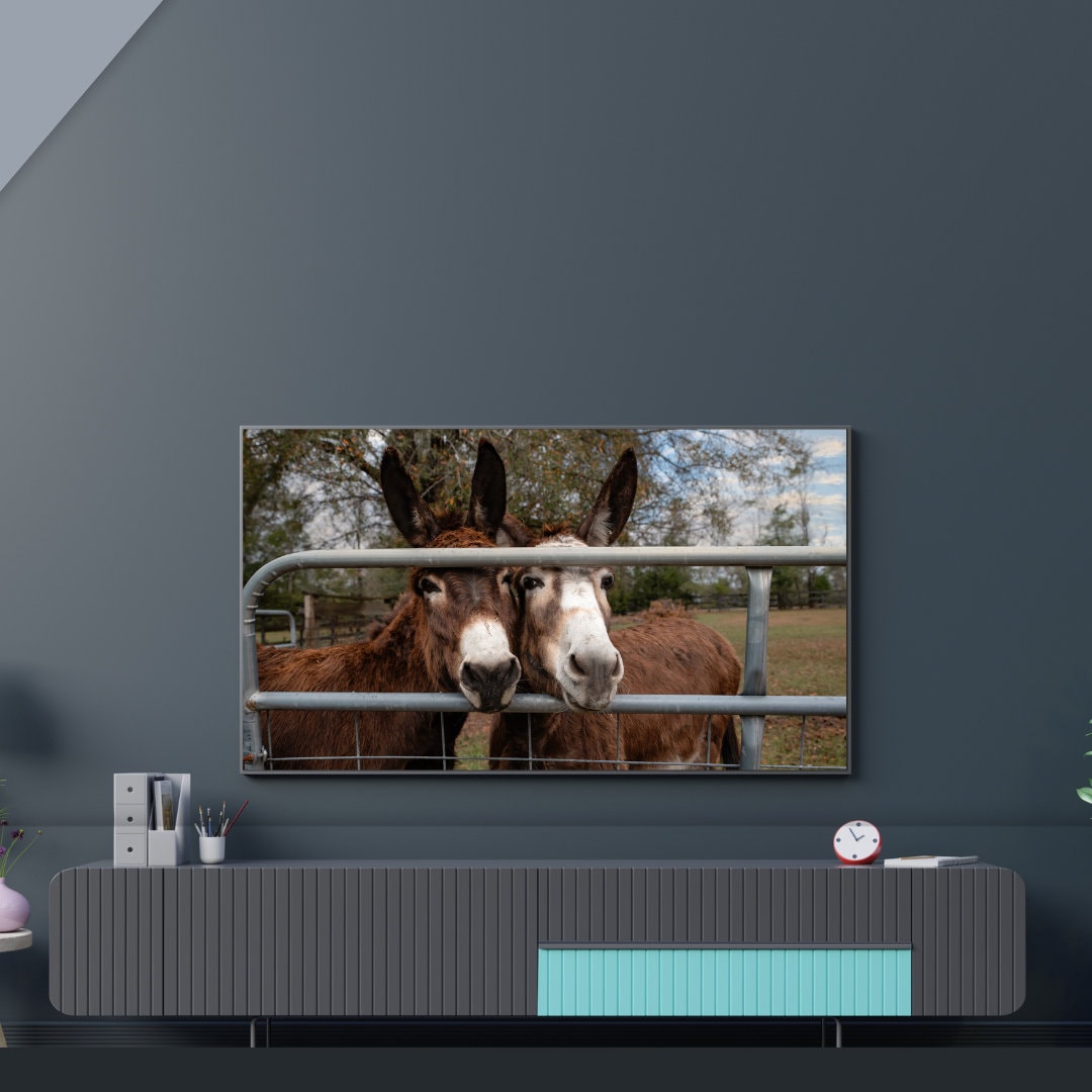 Donkeys Printable, Farmhouse Photo, Modern Farm Decor, Donkeys Photography, Rustic Country Print ...