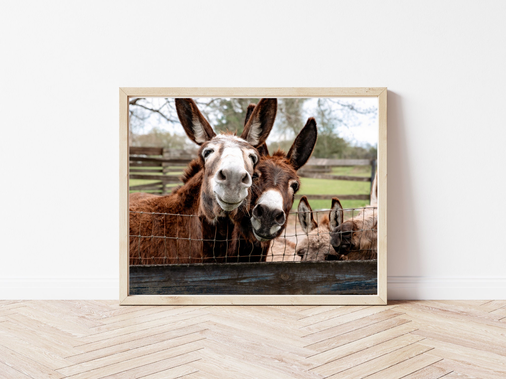 Donkeys Printable, Farmhouse Photo, Modern Farm Decor, Donkeys ...