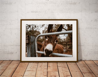 Donkey Printable, Farmhouse Photo, Modern Farm Decor, Donkey Photography, Rustic Country Print ...