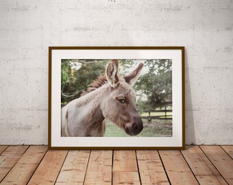 Donkey Printable, Farmhouse Photo, Modern Farm Decor, Donkey Photography, Rustic Country Print ...