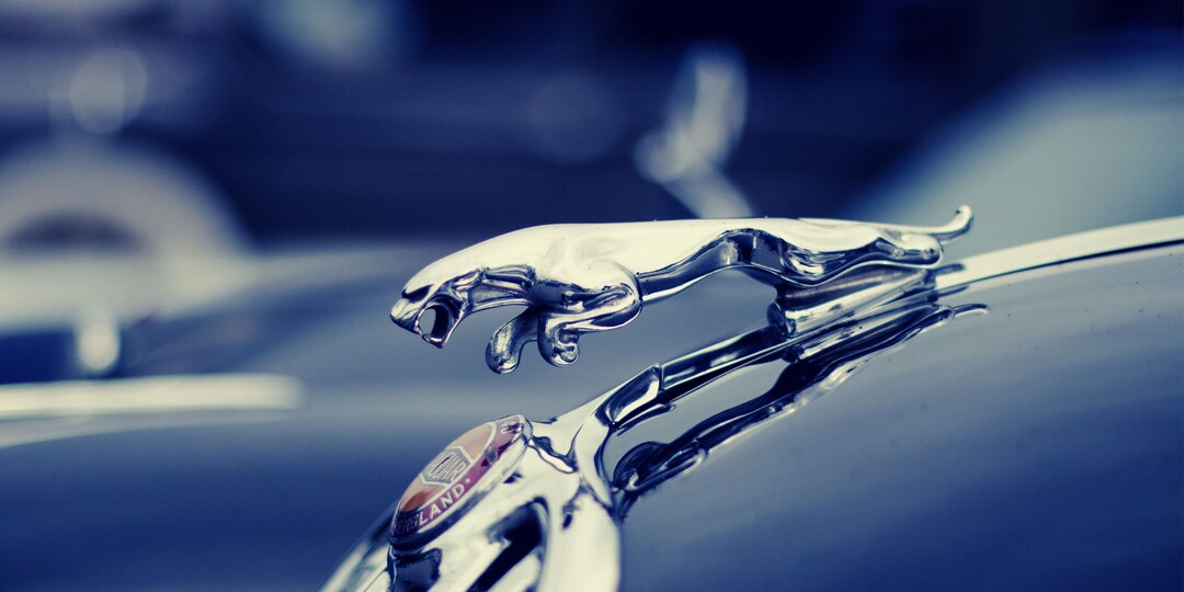 Buy Jaguar Logo Old School Online in India - Etsy