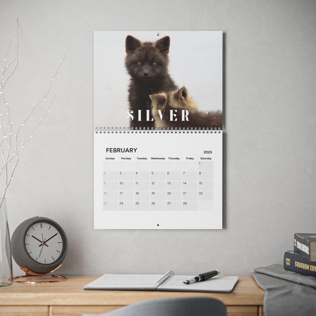 Fox Lover Monthly Calendar 2025, Featuring Bengal, Silver, Swift, Gray ...