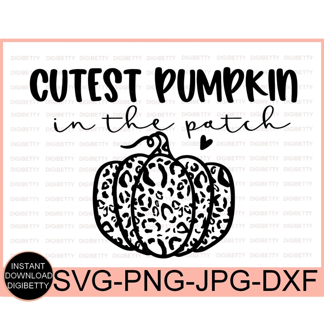 Cutest Pumpkin in the Patch Svg Png Jpg Dxf Fall Svg - Etsy