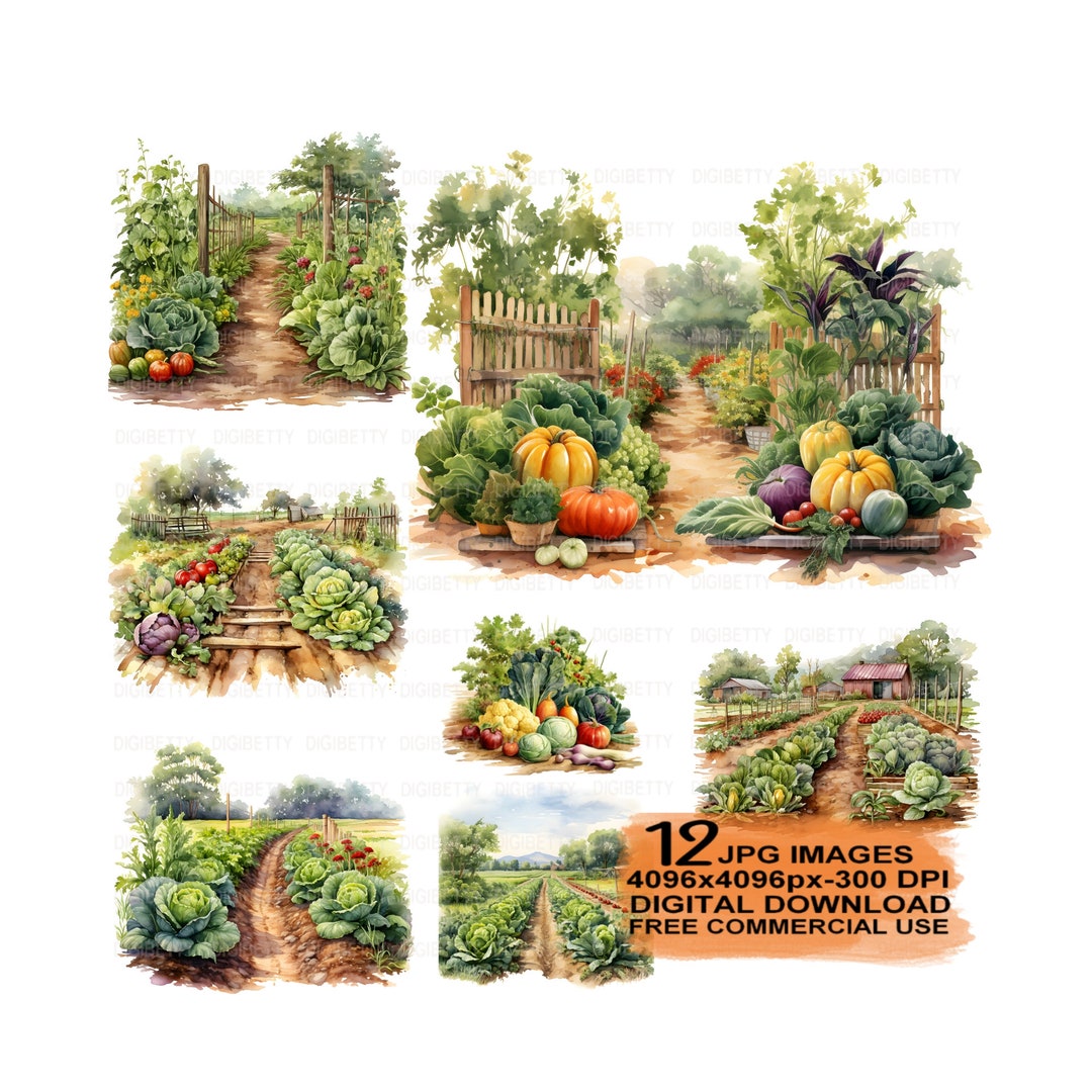 Vegetable Garden Clipart 12 Jpg Files, Autumn Clipart, Vegetable Garden ...