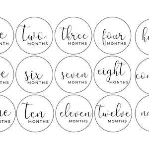 Acrylic Baby Milestones Acrylic Milestone Discs Monthly - Etsy