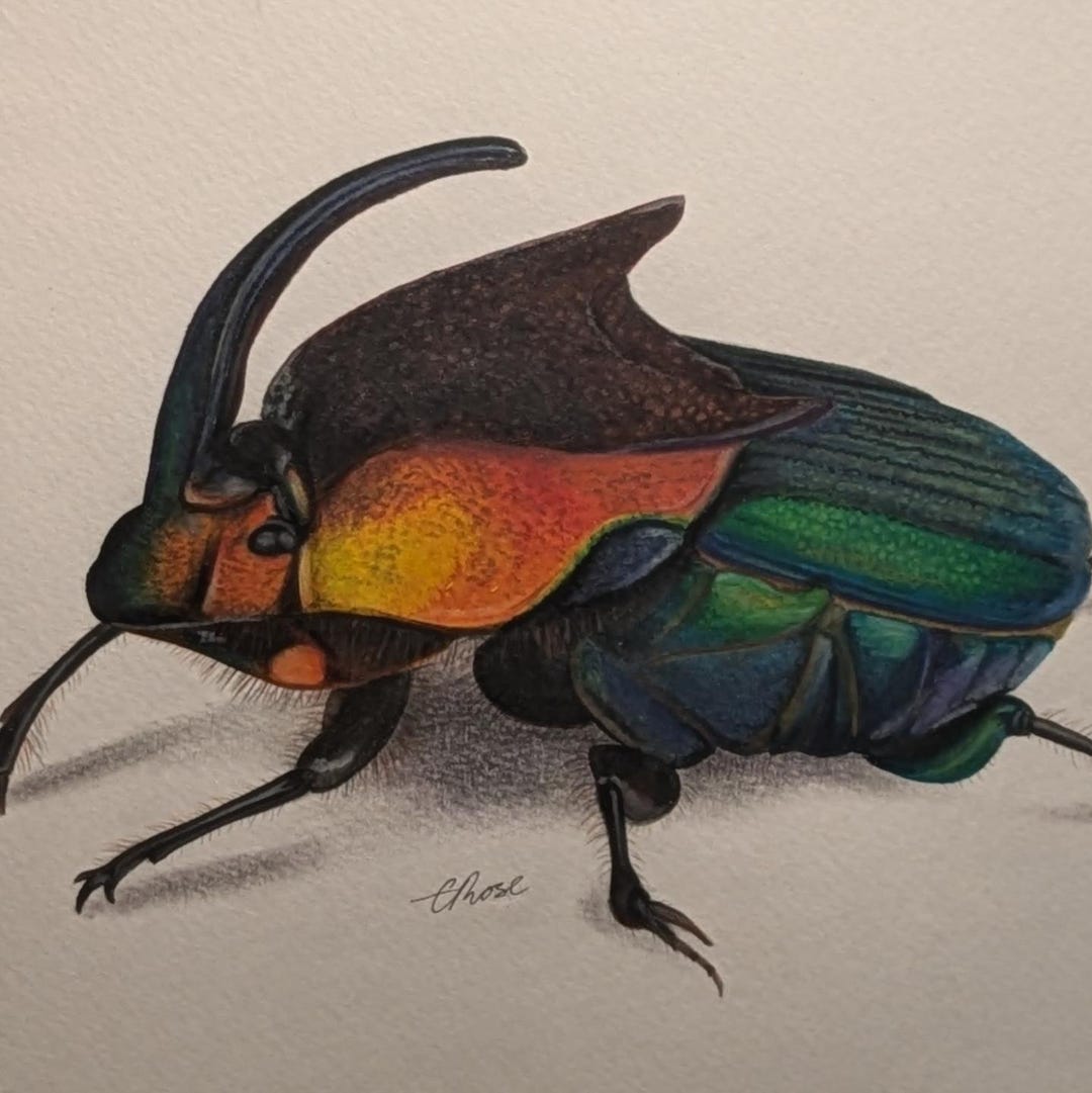 Rainbow Scarab Beetle Phanaeus Vindex A4 Original Painting Acrylic Ink ...