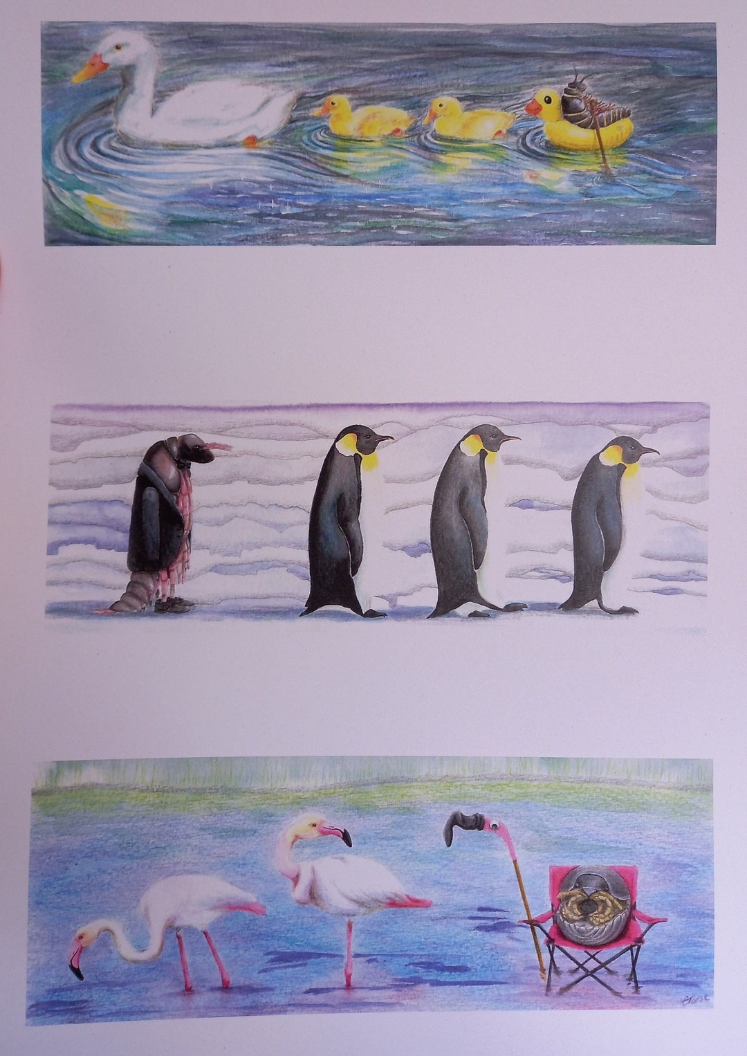 Isopod Imposter A3 Compilation Print Pill Bug Woodlouse Roly Poly Duck ...