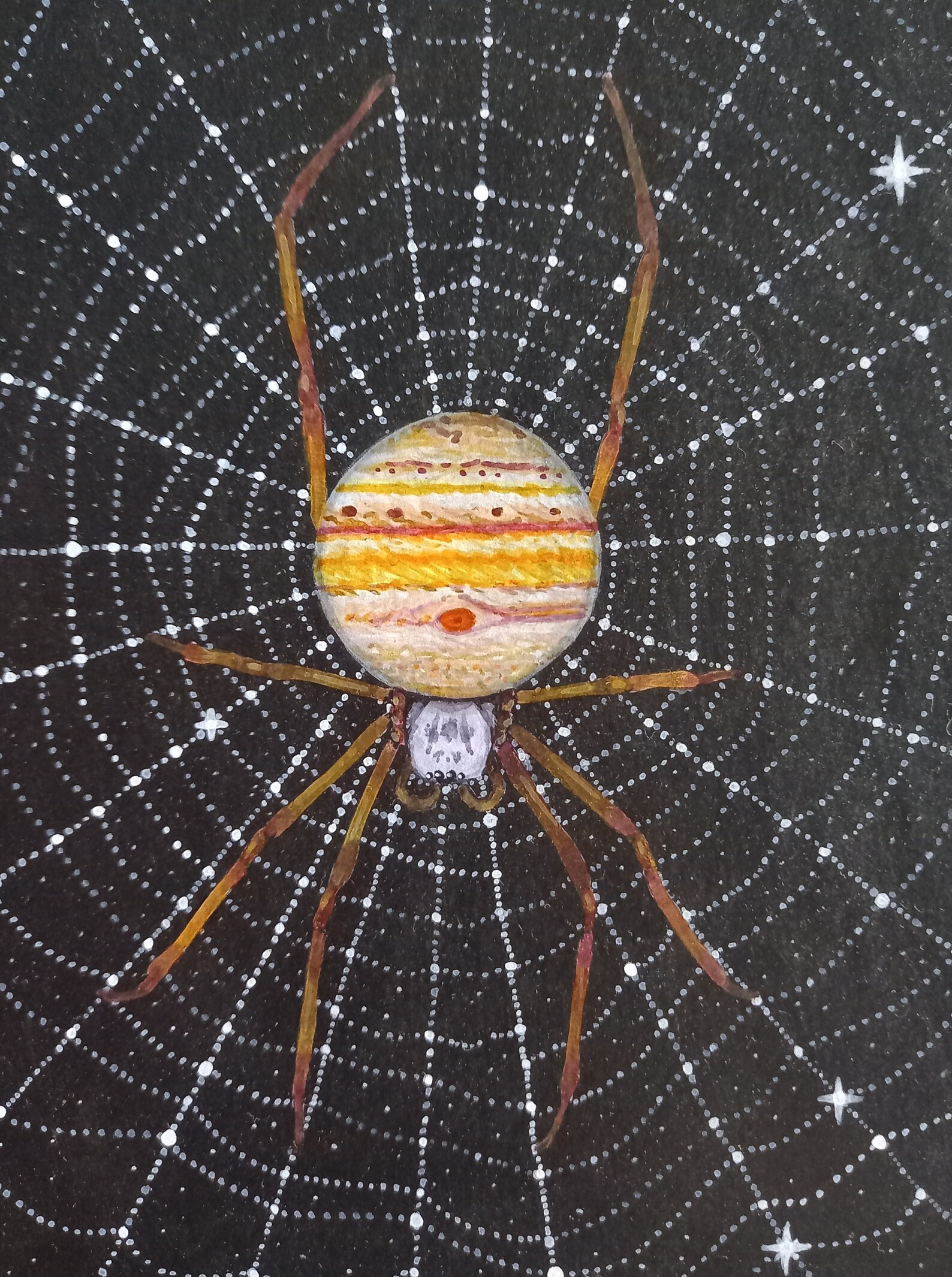 Orb Weaver Spider, Space Spider, Nephila, Stars, Quirky, Original, Hand ...