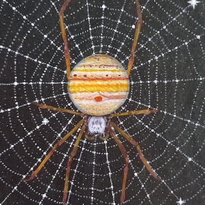 Orb Weaver Spider, Space Spider, Nephila, Stars, Quirky, Original, Hand ...