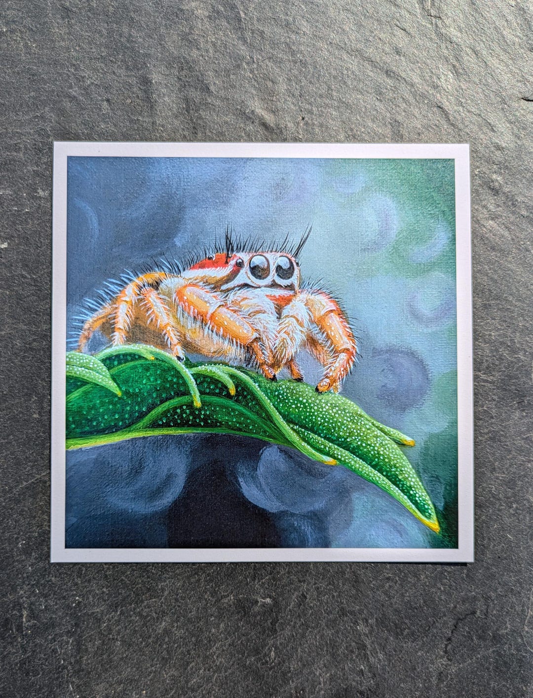 Jumping Spider on Her Leaf Perch 6 X 6 Inch Print | Thyene Imperialis ...
