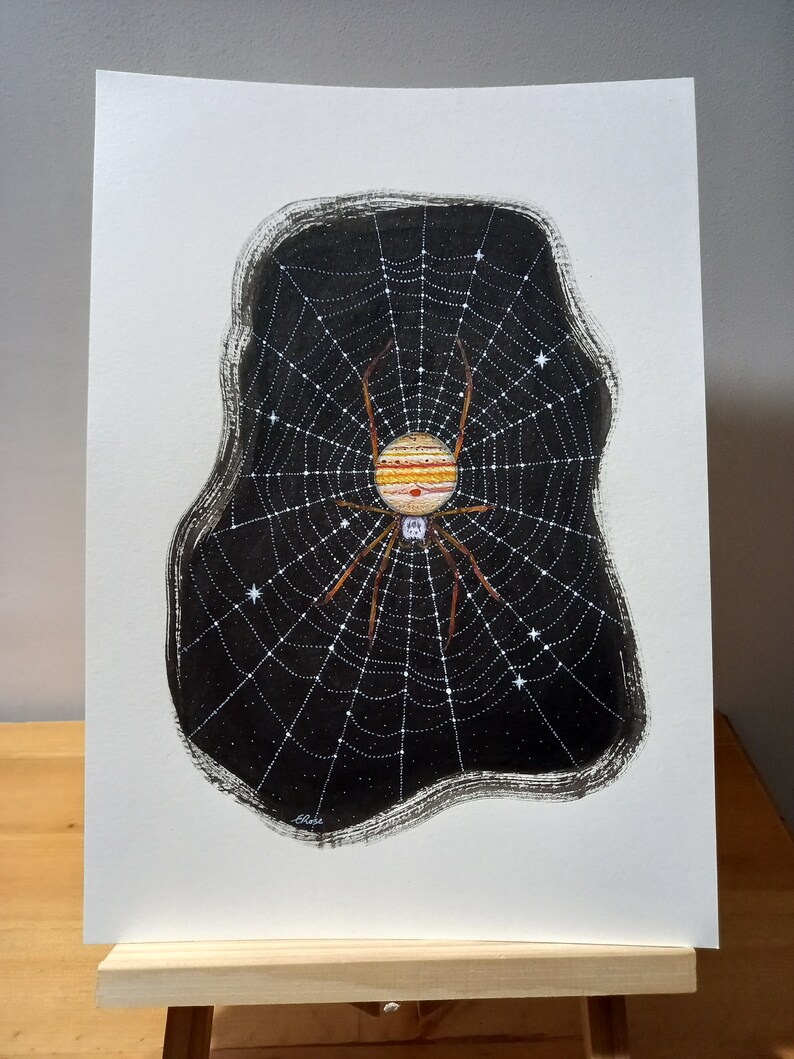 Orb Weaver Spider, Space Spider, Nephila, Stars, Quirky, Original, Hand ...