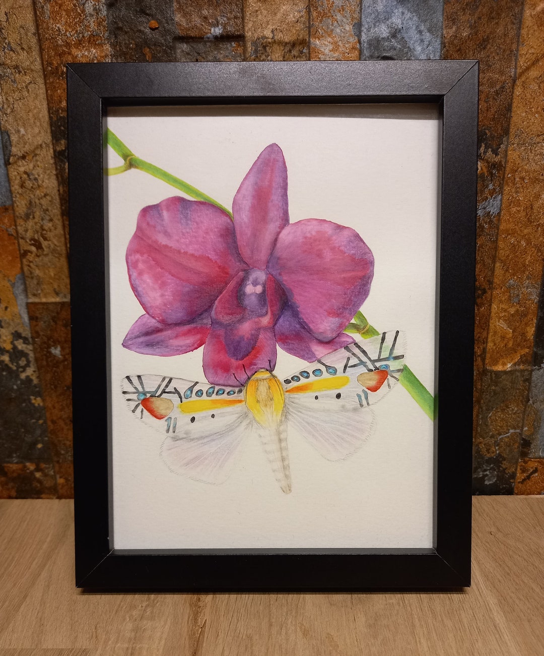 Picasso Moth, Baorisa Hieroglyphica, Dendrobium Orchid, Original, Hand ...