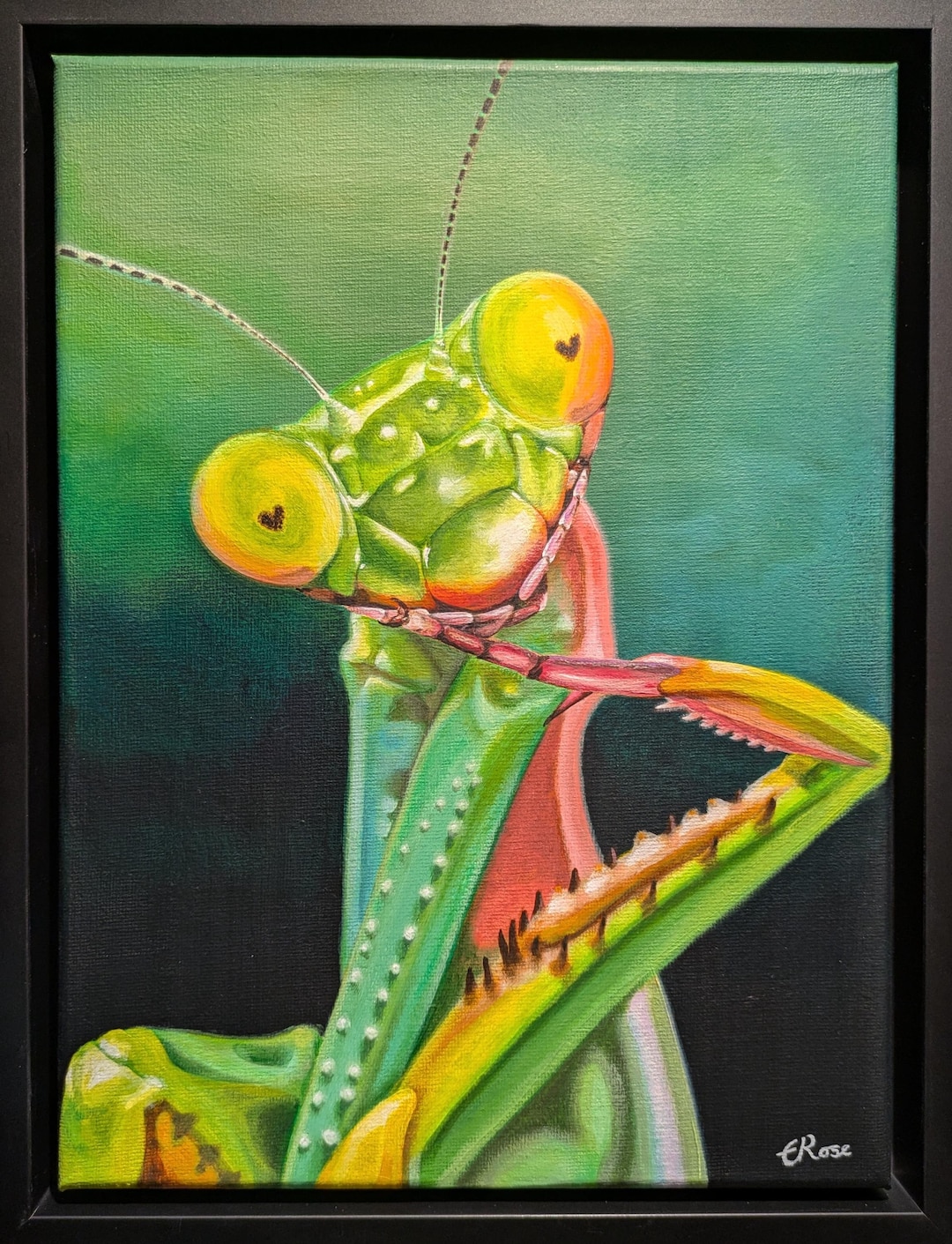 Mediterranean Praying Mantis Original Painting | Species Iris Oratoria ...