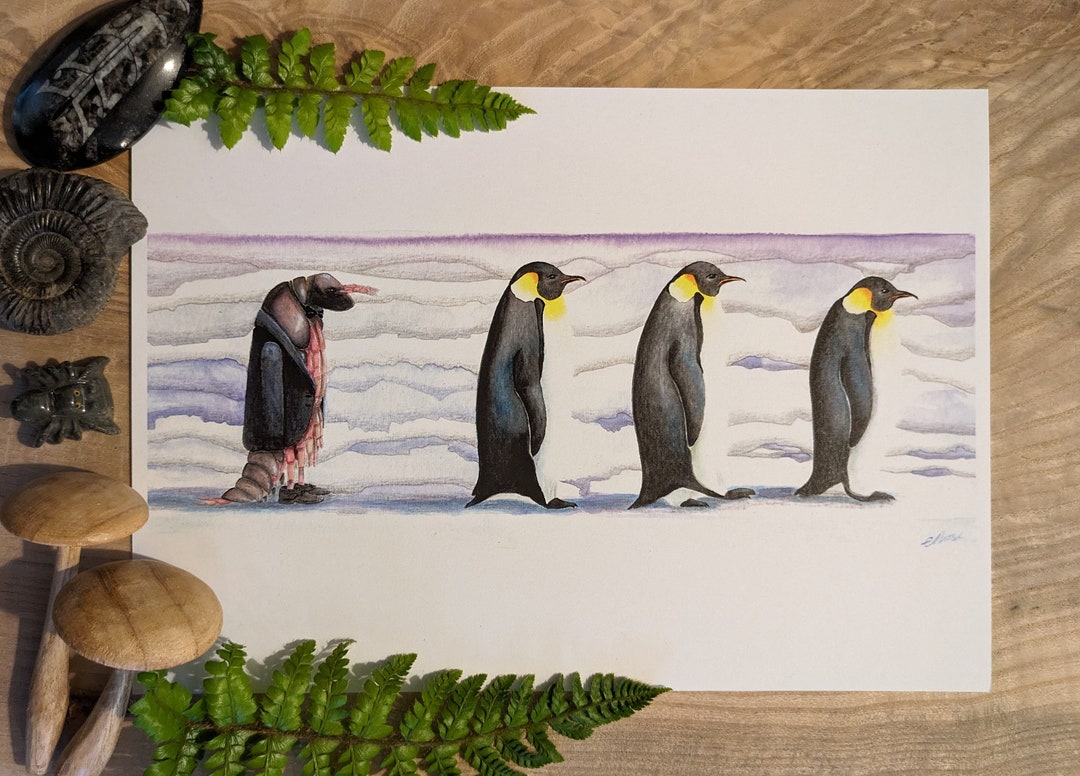 Isopod Imposter A4 Print Pill Bug Roly Poly Woodlouse Antarctic Emperor ...