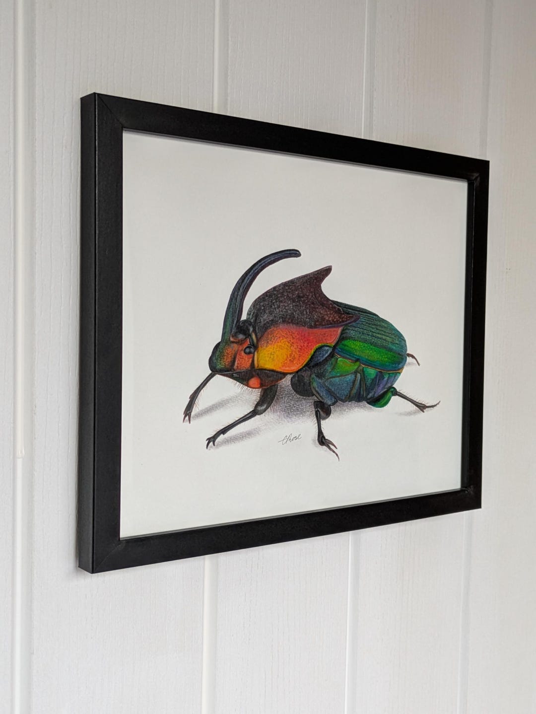 Rainbow Scarab Beetle Framed Original Painting| Phanaeus Vindex Species ...