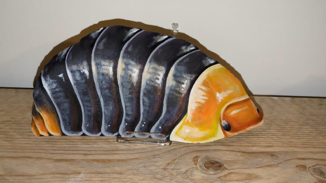 Rubber Duck Isopod Original Painting on Rock | Cubaris Sp Rubber Duck ...