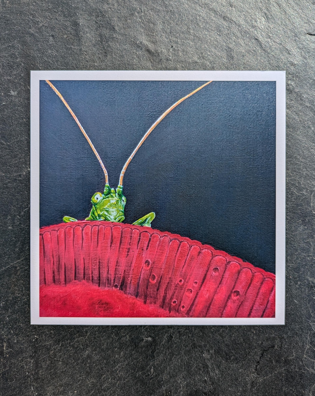 Bush Cricket Peaking Over Flower Petal 6 X 6 Inch Print | Tettigonia ...