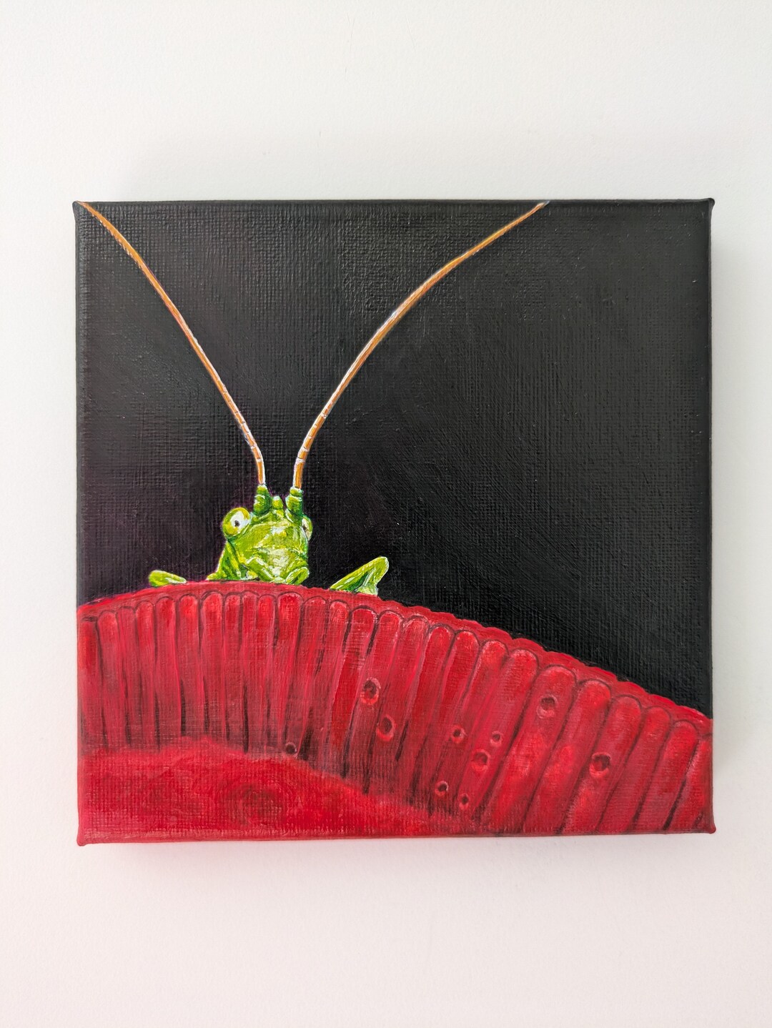 Bush Cricket Tettigonia Insect Bug Peaking Over Flower Petal Original ...