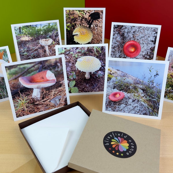 Mushroom Note Cards - Etsy