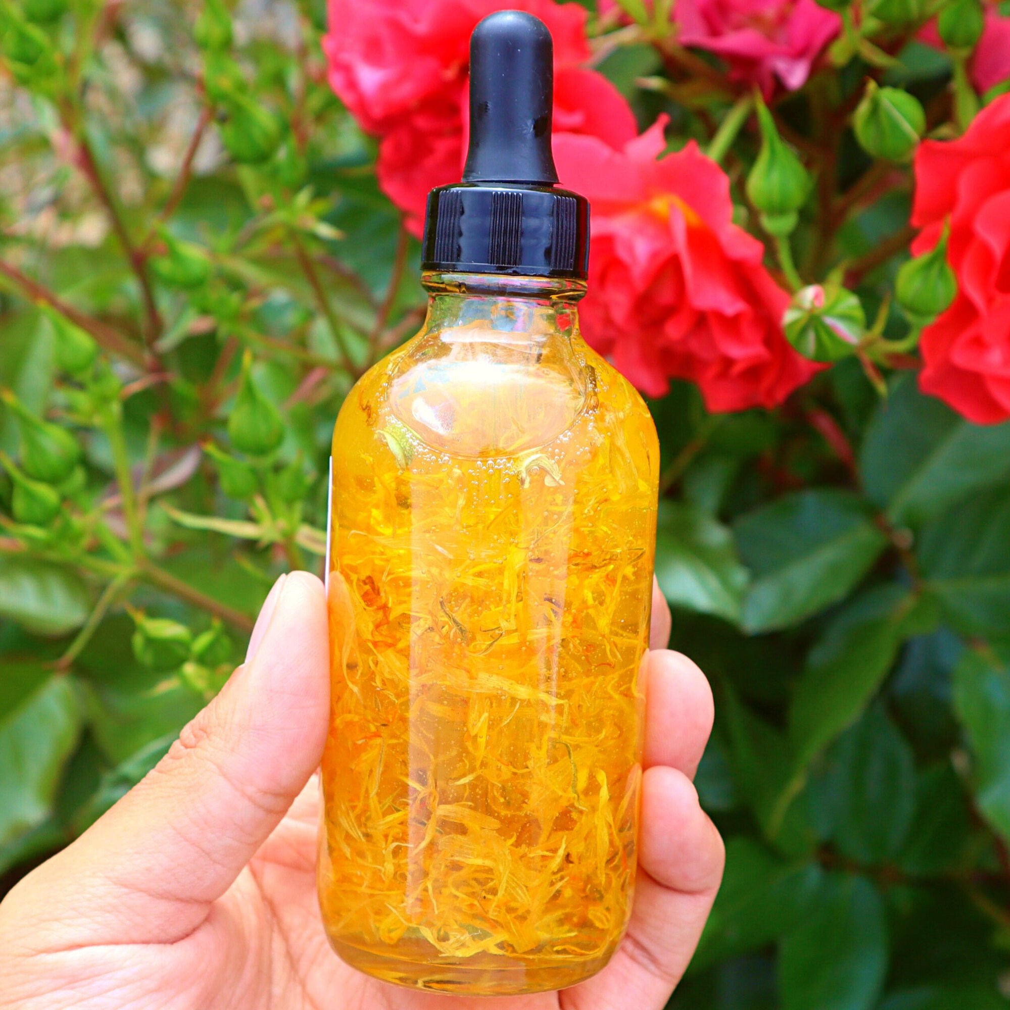 Organic Handcrafted Pure Calendula Oil - Etsy