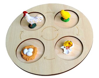 Montessori Chicken Life Cycle - Etsy