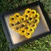 Heart Shaped Shadow Box Sunflowers - Etsy