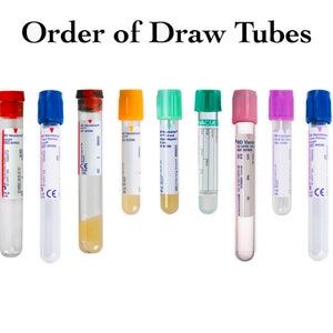 Big Phlebotomy Practice Kit Butterfly Needle Order of Draw Phlebotomy ...