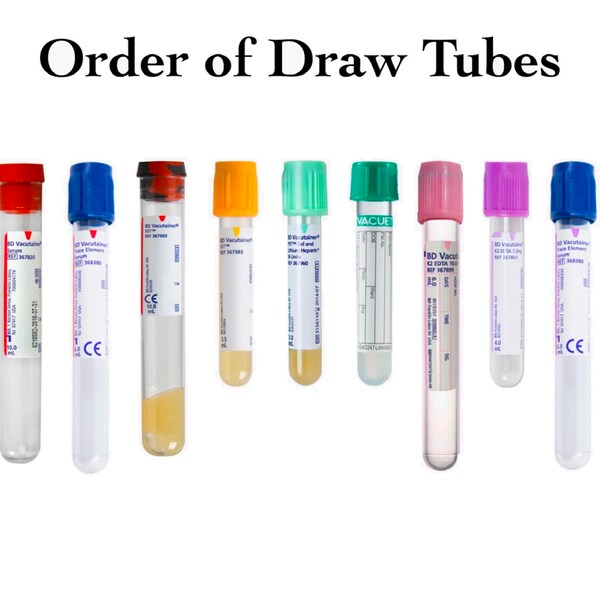 Big Phlebotomy Practice Kit Butterfly Needle Order of Draw Phlebotomy ...