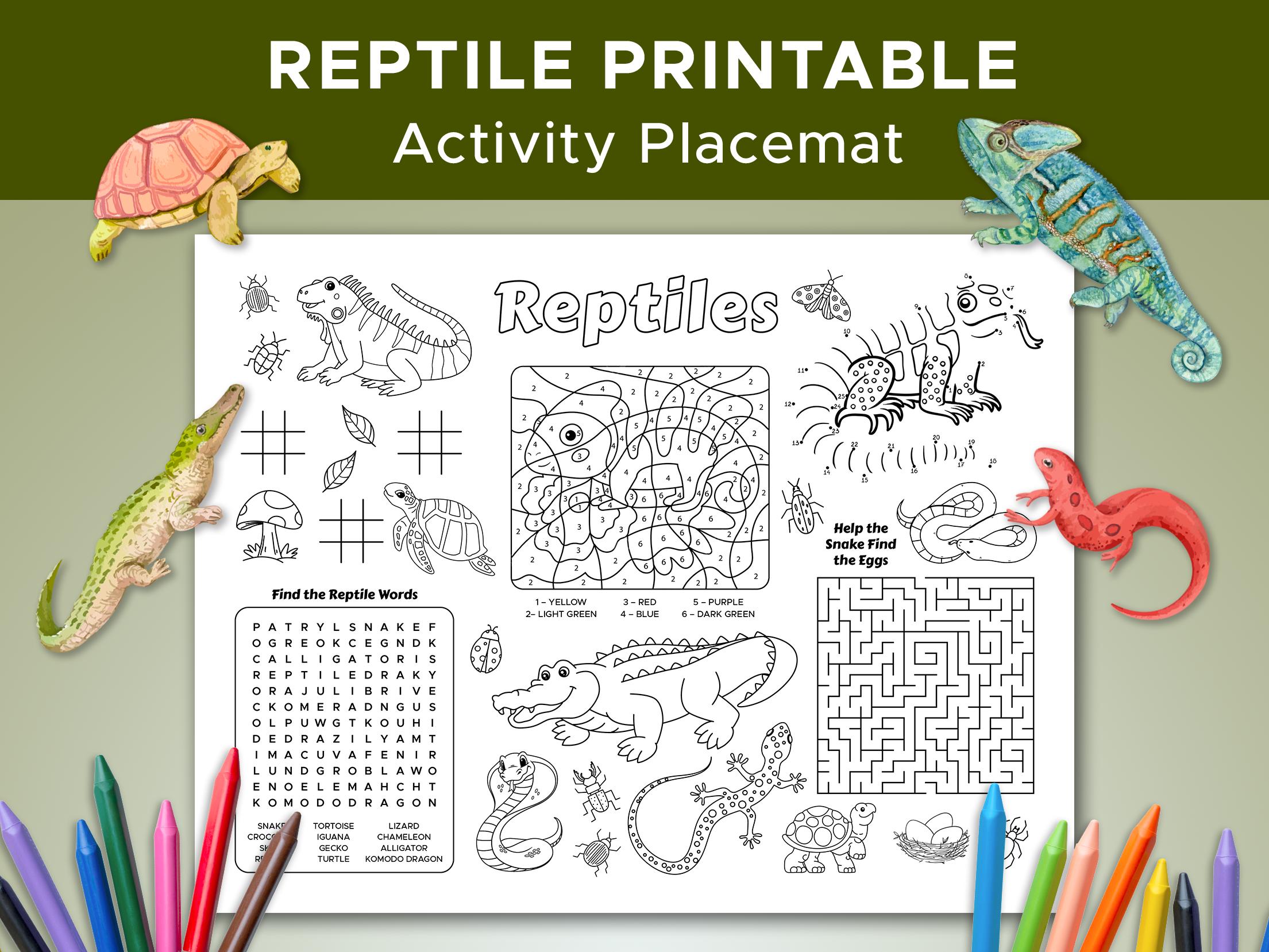 Reptile Themed Activity Sheet, Reptile Coloring Sheet, Reptile Party ...