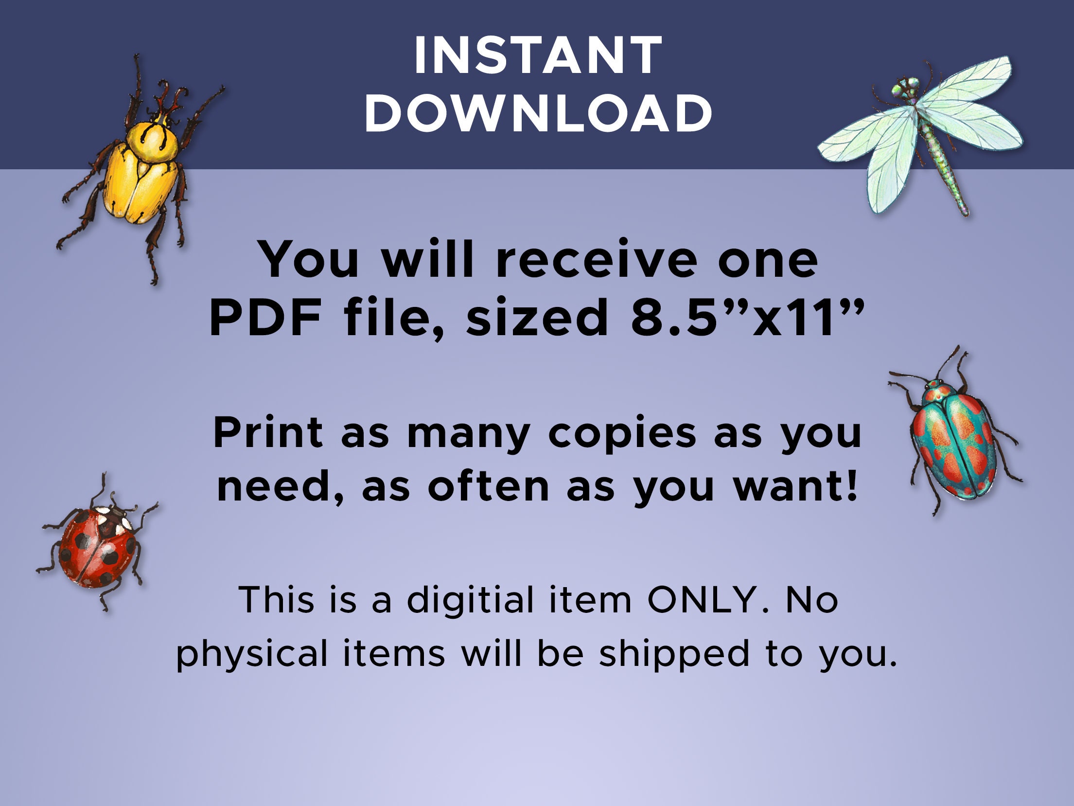 Insect Bug Themed Activity Sheet, Insect Coloring Sheet, Bug Party ...