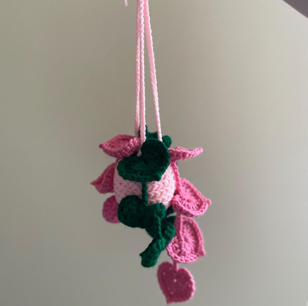 Crochet String of Hearts Potted Hanging Plant - Etsy