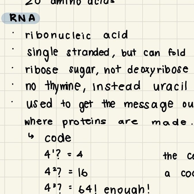 SBI4U — Molecular Genetics - Etsy