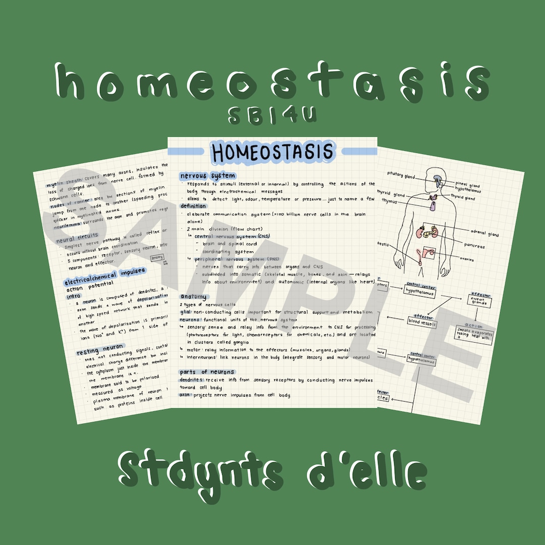SBI4U — Homeostasis - Etsy